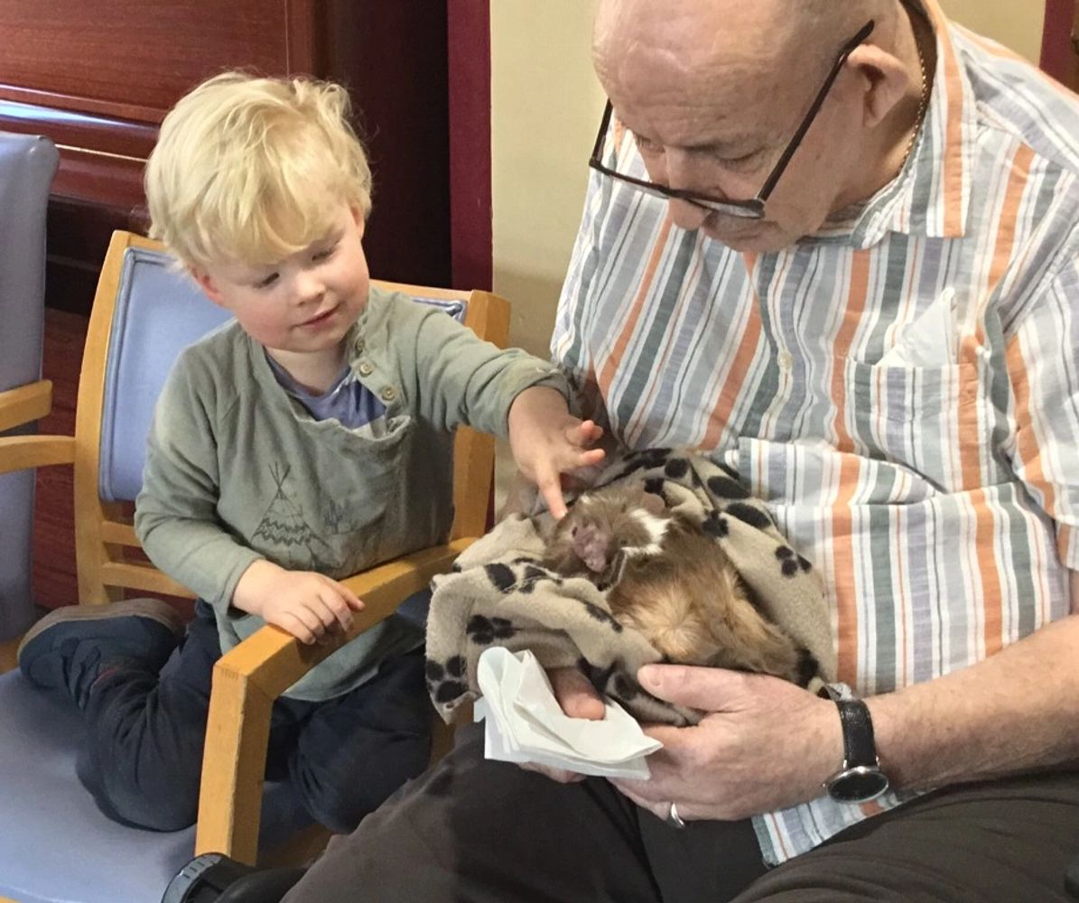 Intergenerational Training - AHN Intergenerational Education & Training